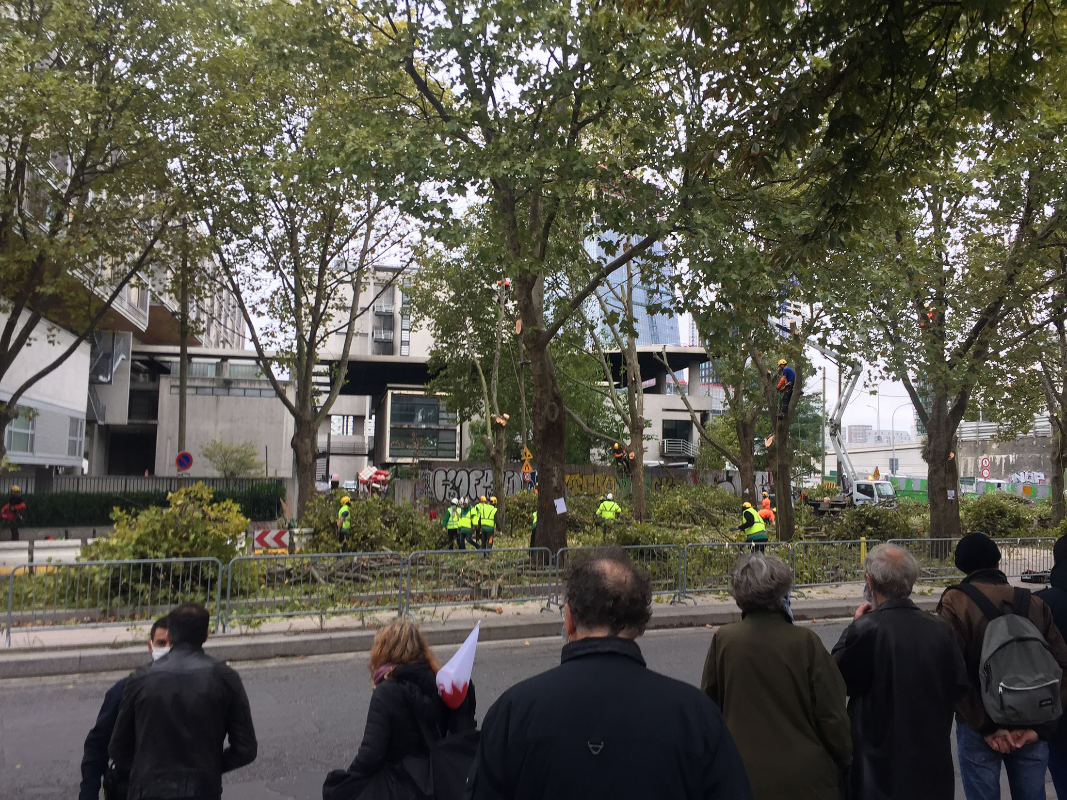 Quai d’Ivry : la Ville promet de planter 170.000 arbres… et abat ceux ...
